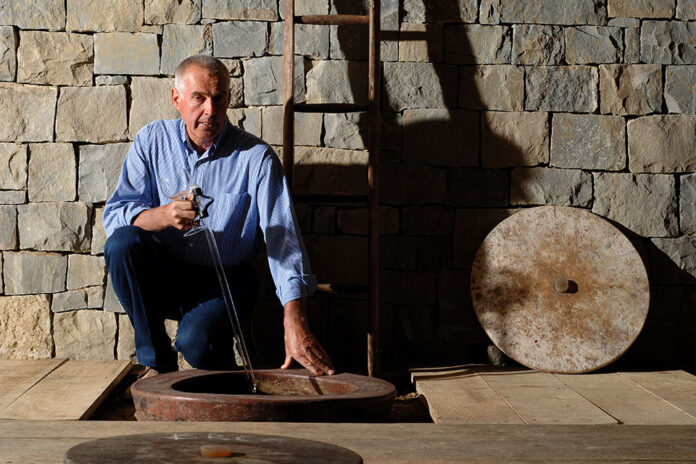 Gravner: Bianco Breg 2011 il vino che ha lasciato il posto al bosco