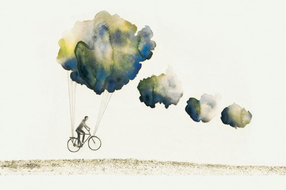 Cantina Tollo: un viaggio nel mondo del vino lungo sessant'anni